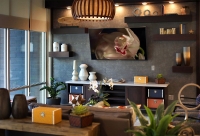 Shelter from the Storm: Affordable and Supportive Interior Design