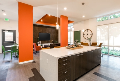 Shelter from the Storm: Affordable and Supportive Interior Design