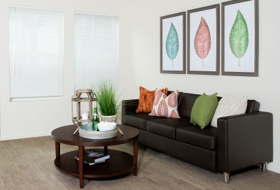 Shelter from the Storm: Affordable and Supportive Interior Design